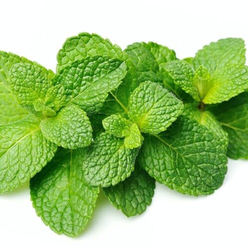 Spicy Beef Mince Biryani Bursting With Aromatic Flavors